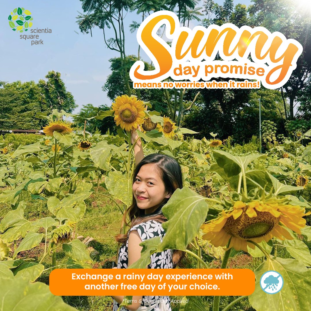 Scientia Square Park - Info Aktivitas, Club, Event, Tiket Masuk