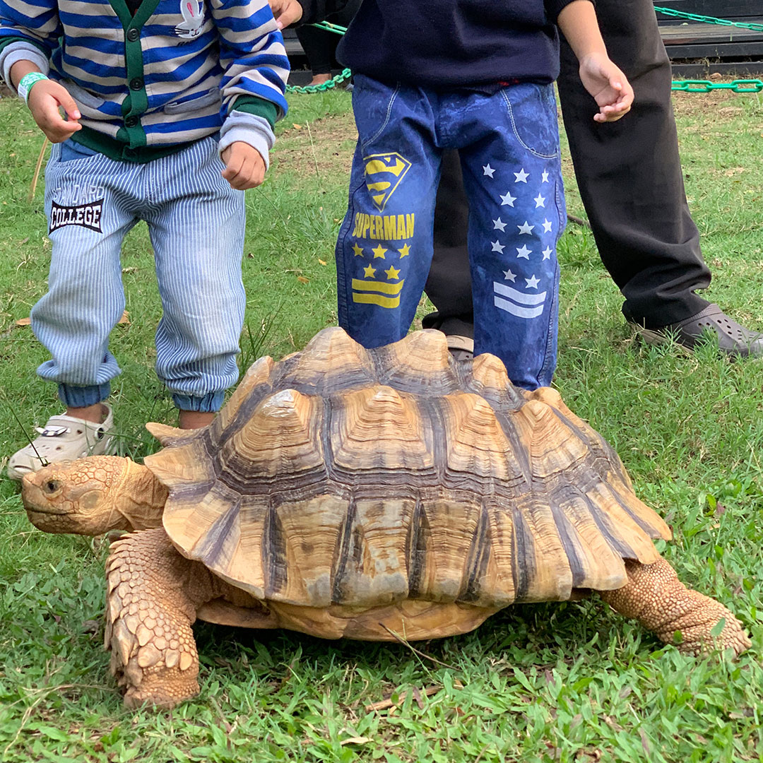 Scientia Square Park - Info Aktivitas, Club, Event, Tiket Masuk