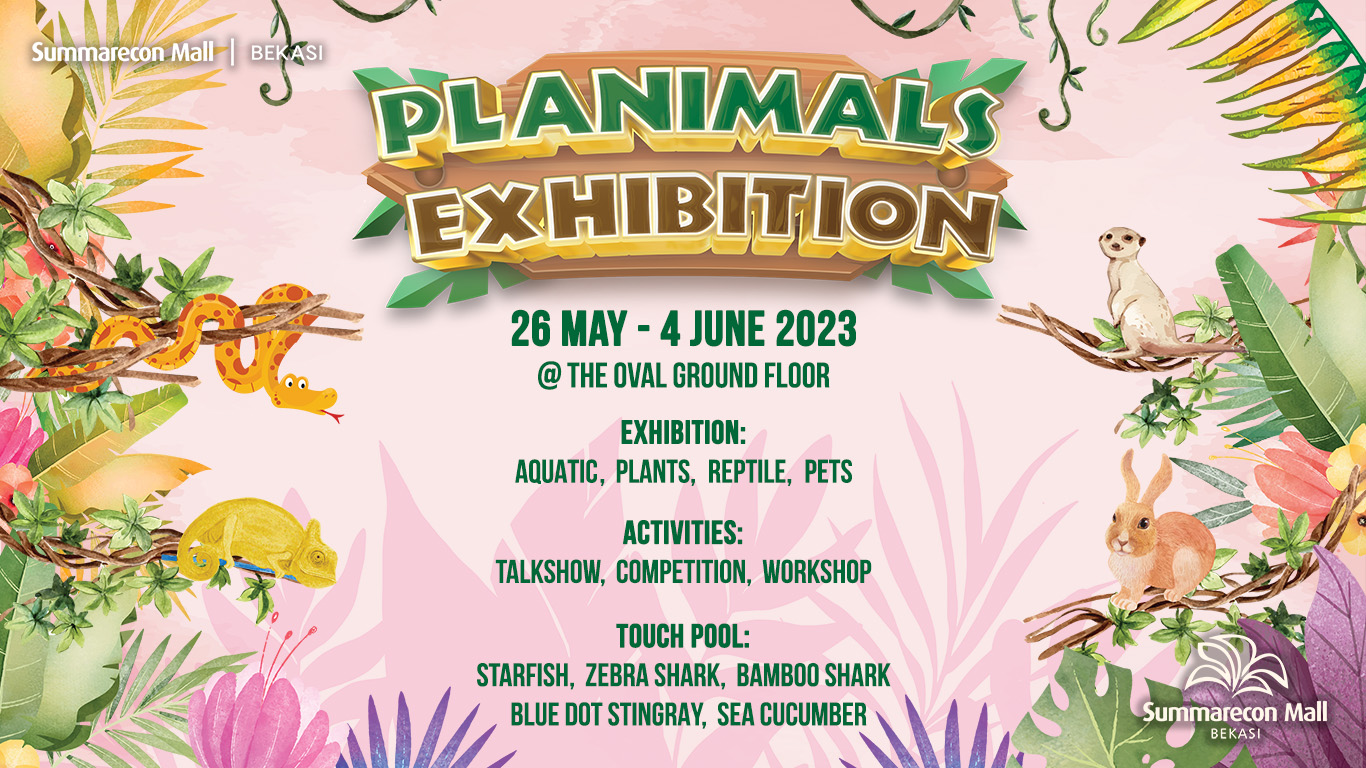 Plan Animals Exhibition