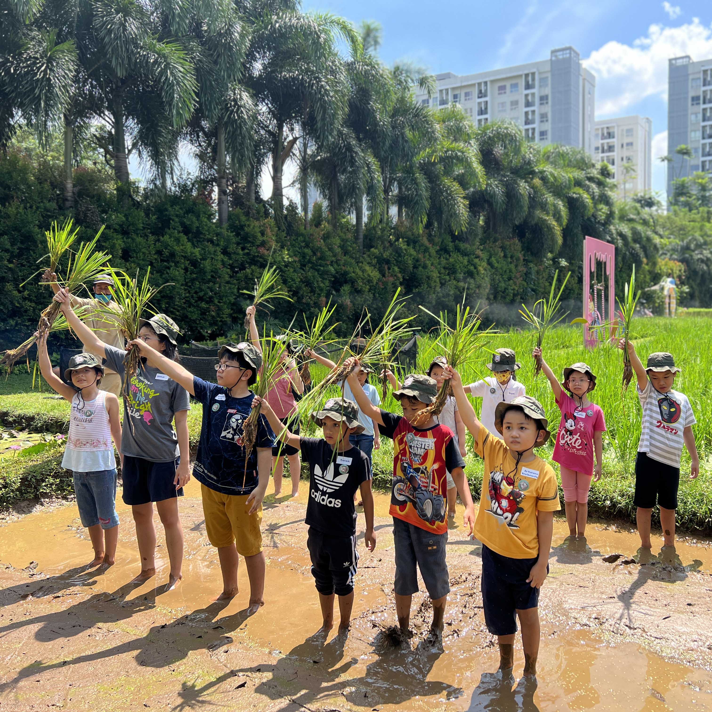 Scientia Square Park - Info Aktivitas, Club, Event, Tiket Masuk